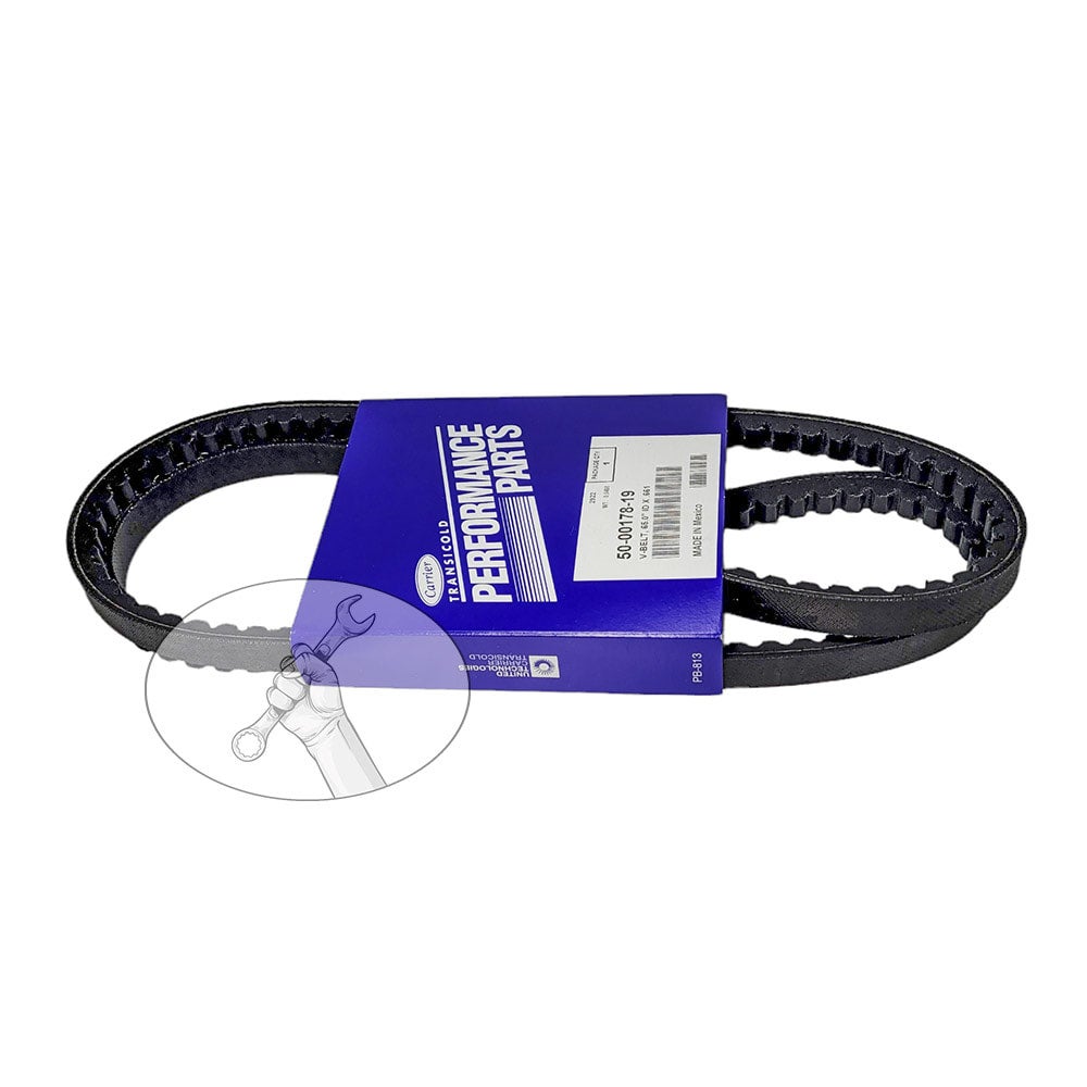 50-00178-19 OEM Drive belt for Carrier Transicold Ultima / Ultra XT ...